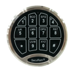 SecuRam – MOEM Safe